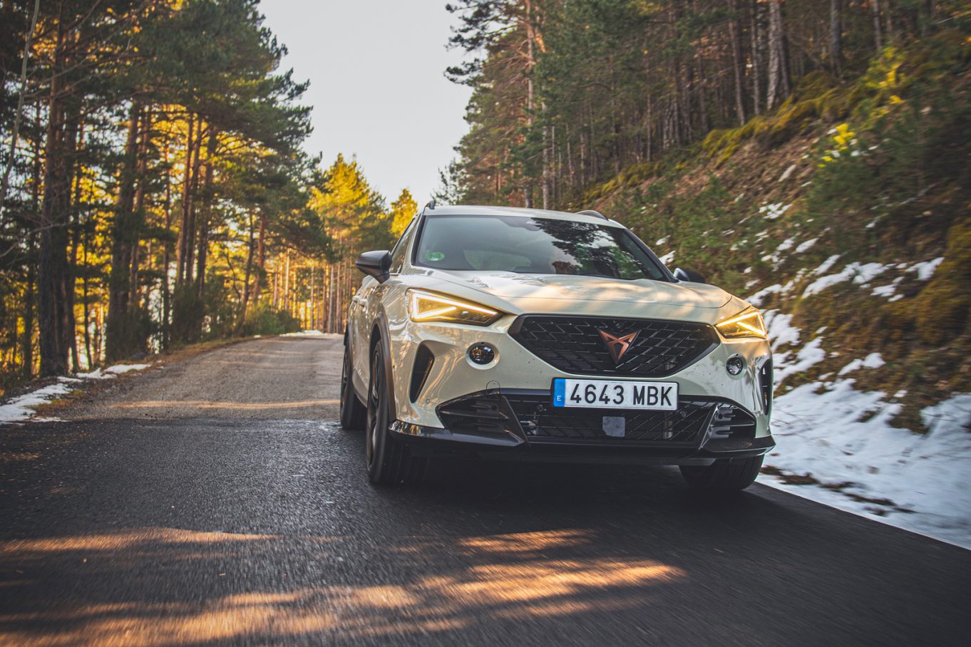 Inicio Marcas CUPRA CUPRA Formentor VZ5 Taiga Grey. Todavía más exclusivo